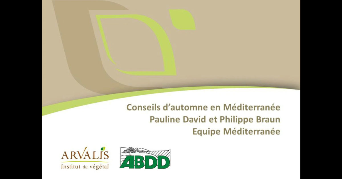 Vidéo 02 – Campagne 2020-2021 | ABDD